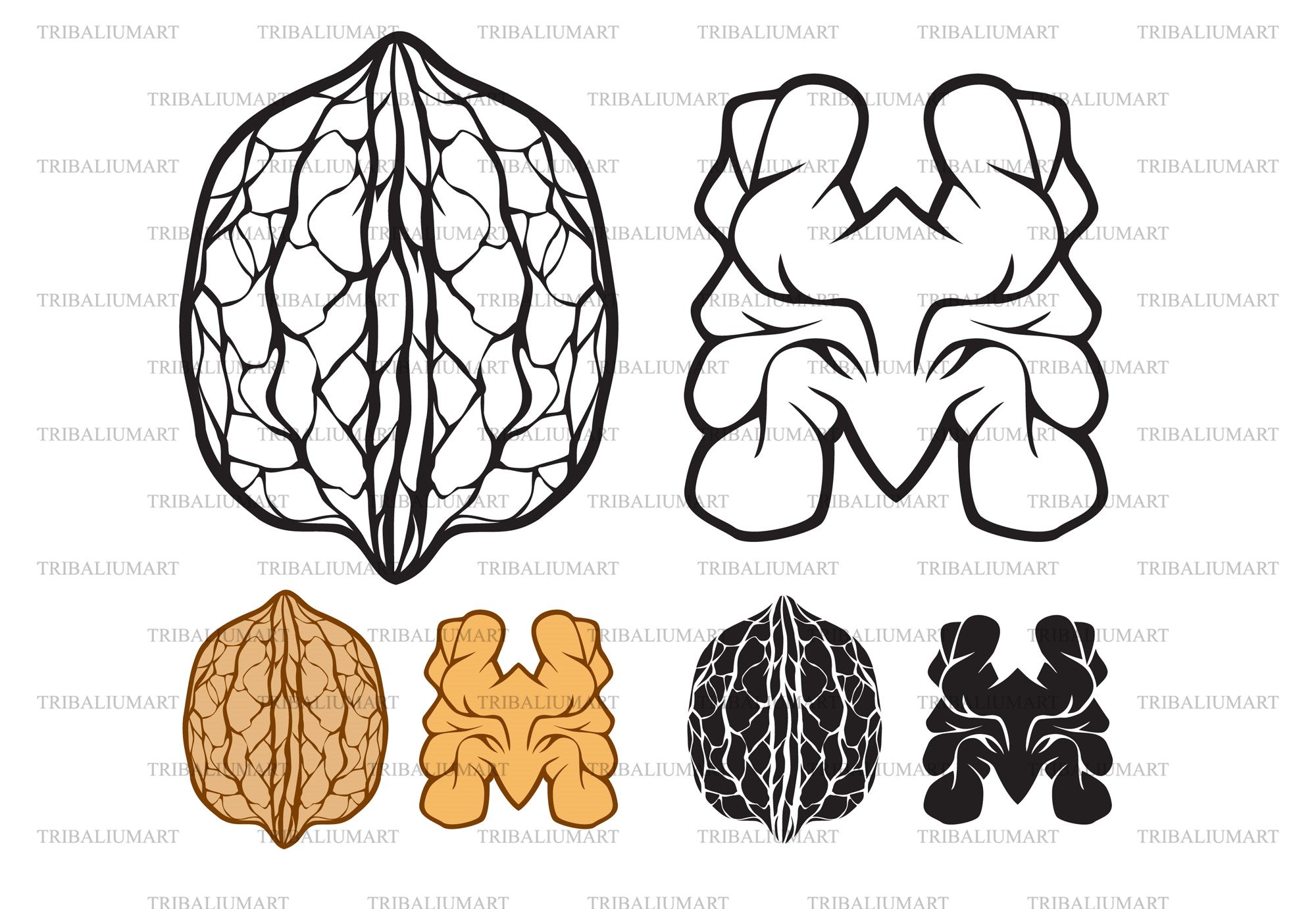 Walnut. Cut files for Cricut. Clip Art silhouettes (eps, svg, pdf, png ...