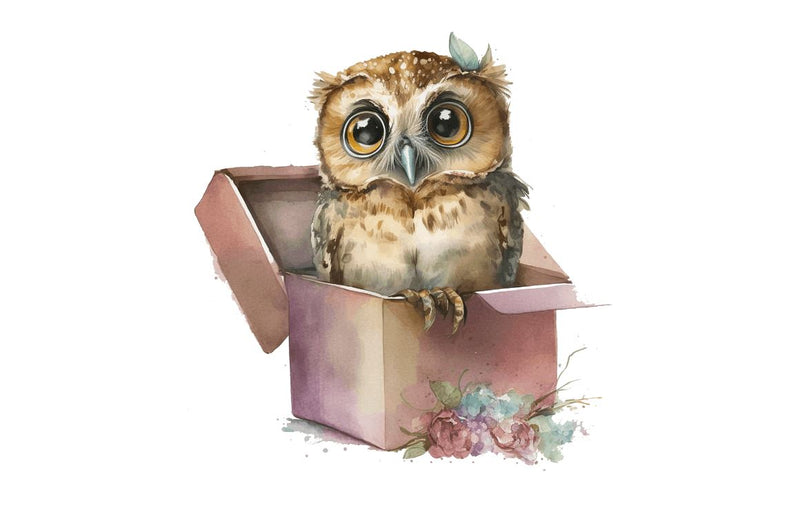 Watercolor Cute Owl Girl in Gift Box Clipart Bundle - So Fontsy