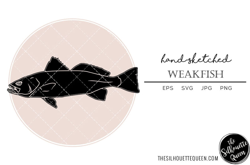 Weakfish Hand sketched, hand drawn vector clipart - So Fontsy
