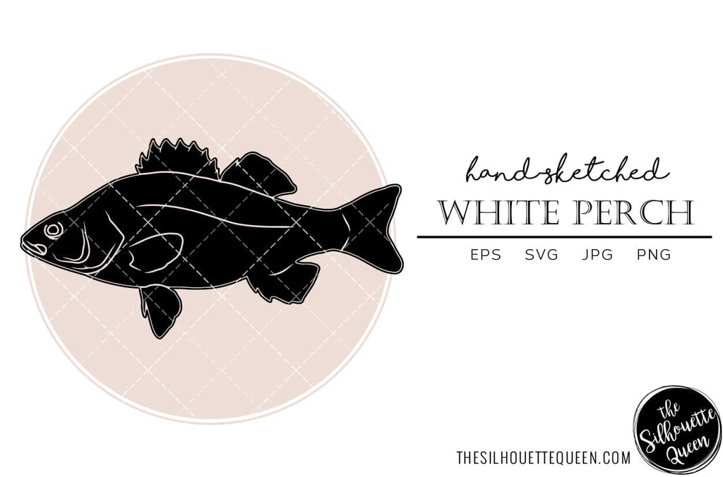 White Perch Hand sketched, hand drawn vector clipart - So Fontsy