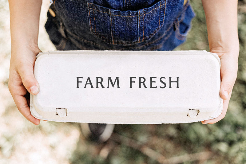 Wild Honey - Rustic Serif Font - So Fontsy