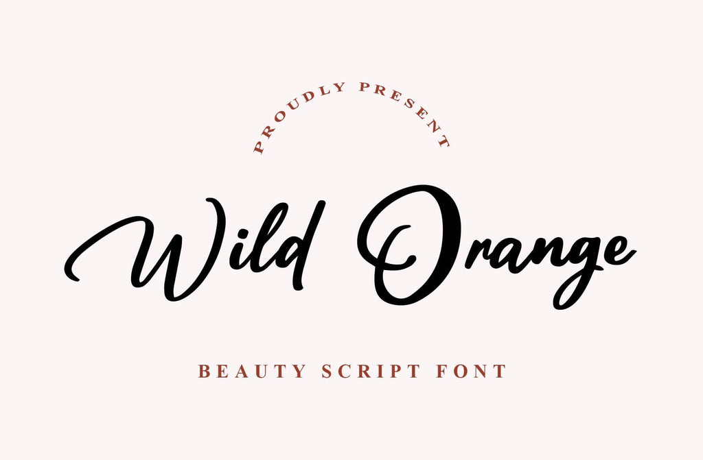 Wild Orange | Modern Script Font - So Fontsy