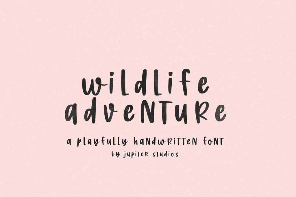 Wildlife Adventure Font (Craft Fonts, Hand drawn Fonts, Instagram Fonts ...