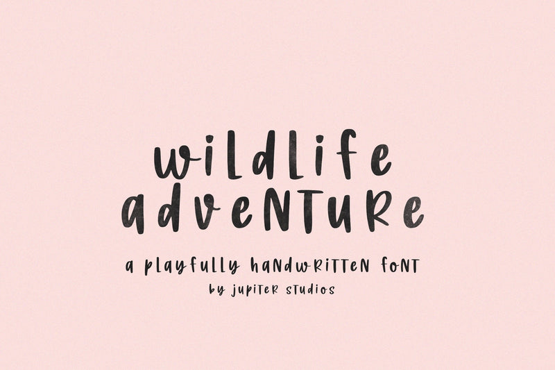 Wildlife Adventure Font (Craft Fonts, Hand drawn Fonts, Instagram Fonts, Rough Fonts) - So Fontsy