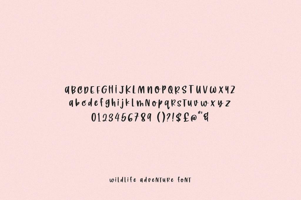 Wildlife Adventure Font (Craft Fonts, Hand drawn Fonts, Instagram Fonts ...