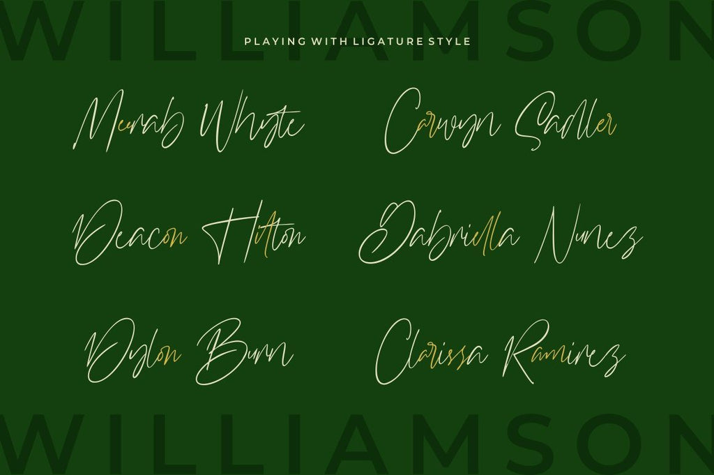 Williamson - Luxury Signature Font - So Fontsy