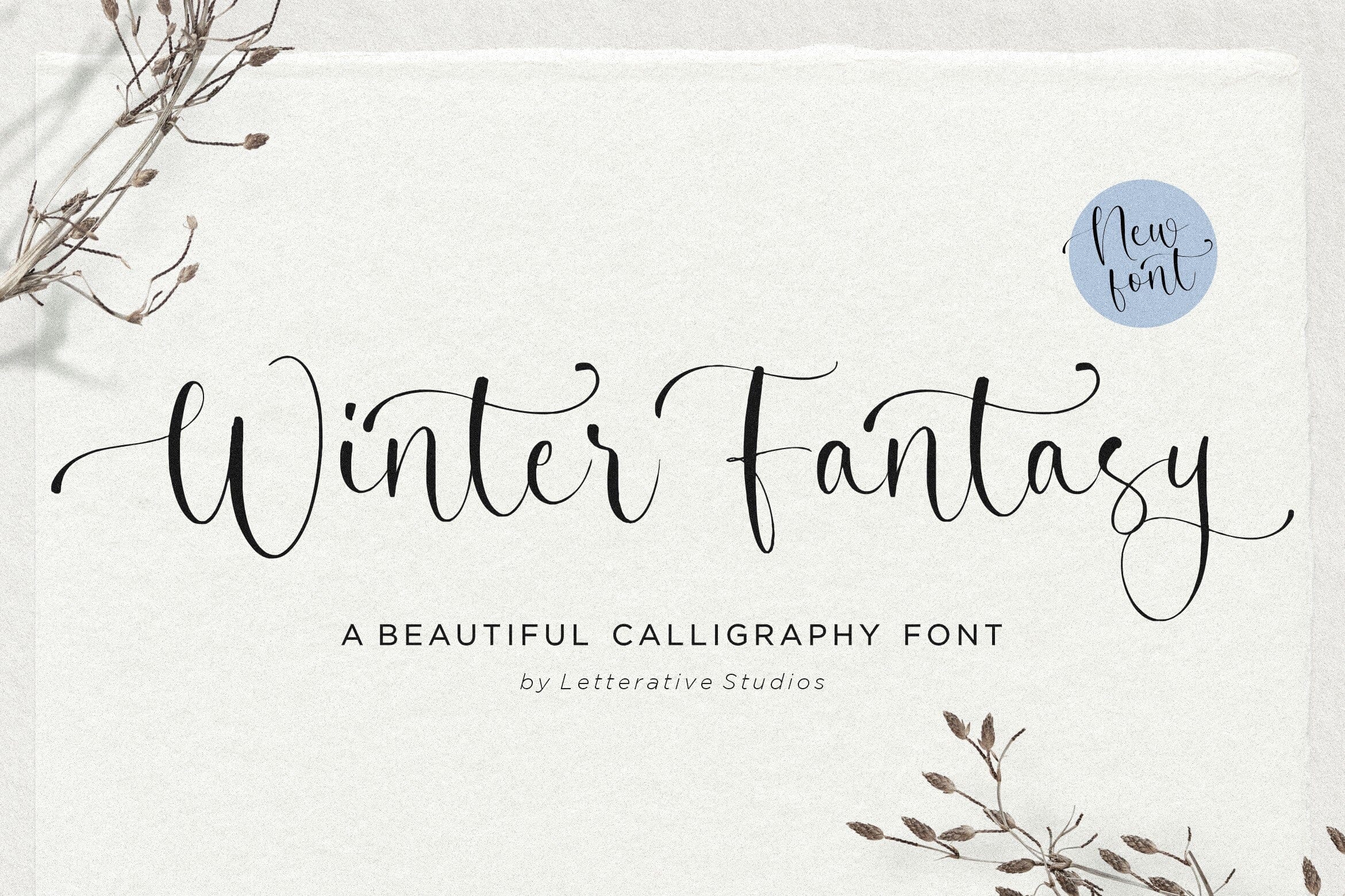Winter Fantasy Beautiful Calligraphy Font - So Fontsy