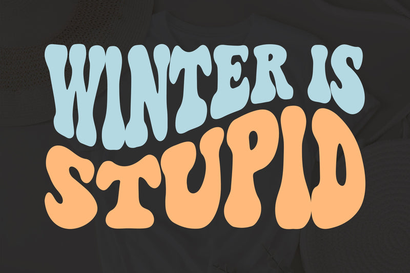 Winter is stupid svg, Funny winter svg, Winter Problems svg, Winter svg ...