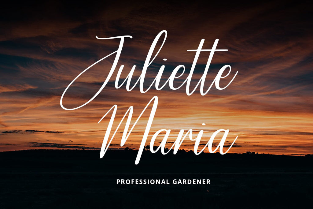 Wintermelon - So Fontsy