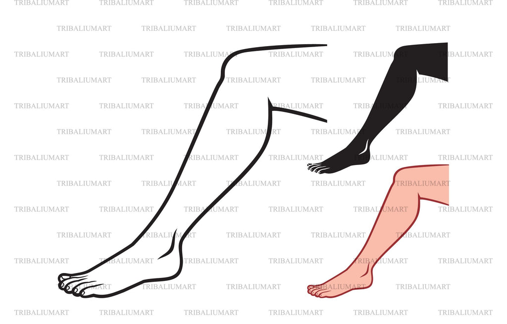 Woman leg. Cut files for Cricut. Clip Art silhouettes (eps, svg, pdf ...