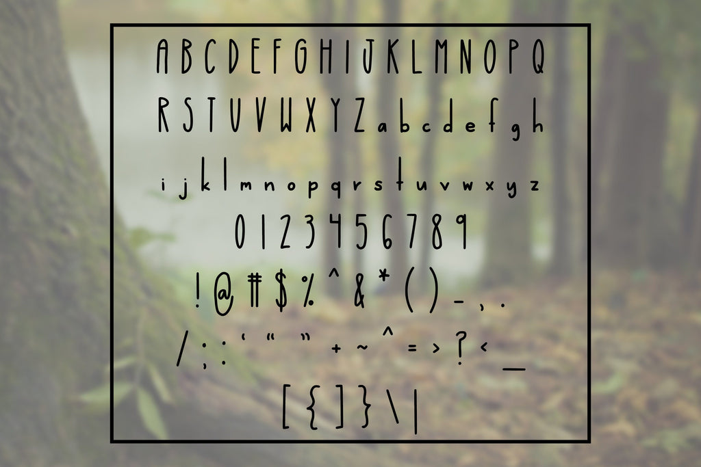 Wonderful Willow Handwritten Font - So Fontsy