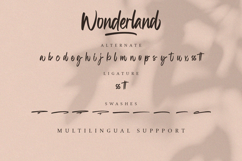 Wonderland - Handwritting Font - So Fontsy