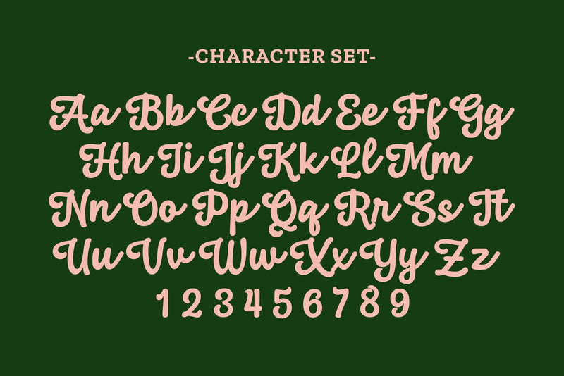 Xerochasy - a Bold Script Font - So Fontsy