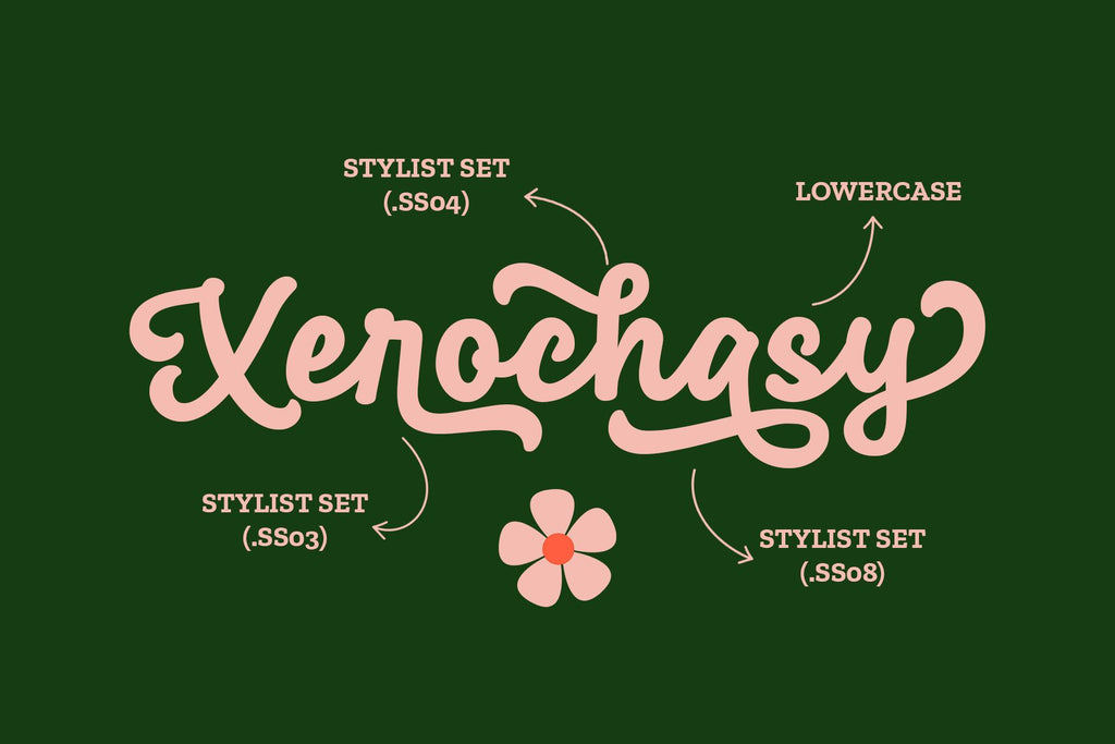 Xerochasy - a Bold Script Font - So Fontsy