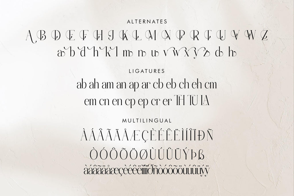 Zackerman Typeface - So Fontsy